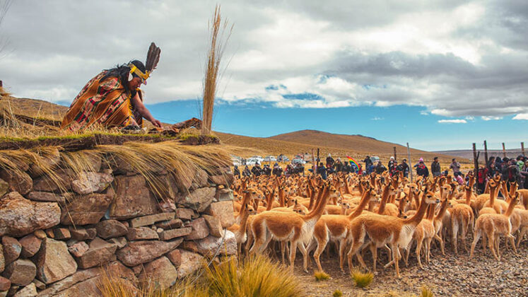 Inti Raymi: ¿cuál es la historia de esta ancestral celebración?