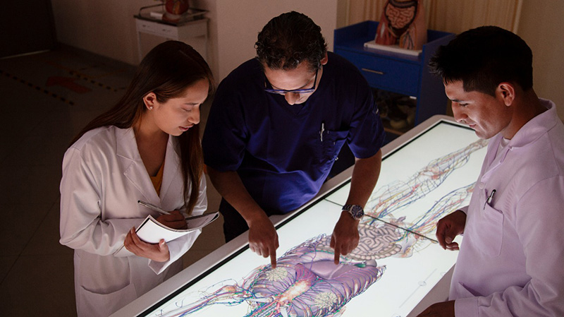 Beneficios de estudiar Medicina Humana con un programa licenciado por ...