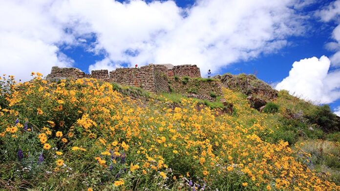 Conservar a Machu Picchu: Desafíos ambientales y soluciones sostenibles